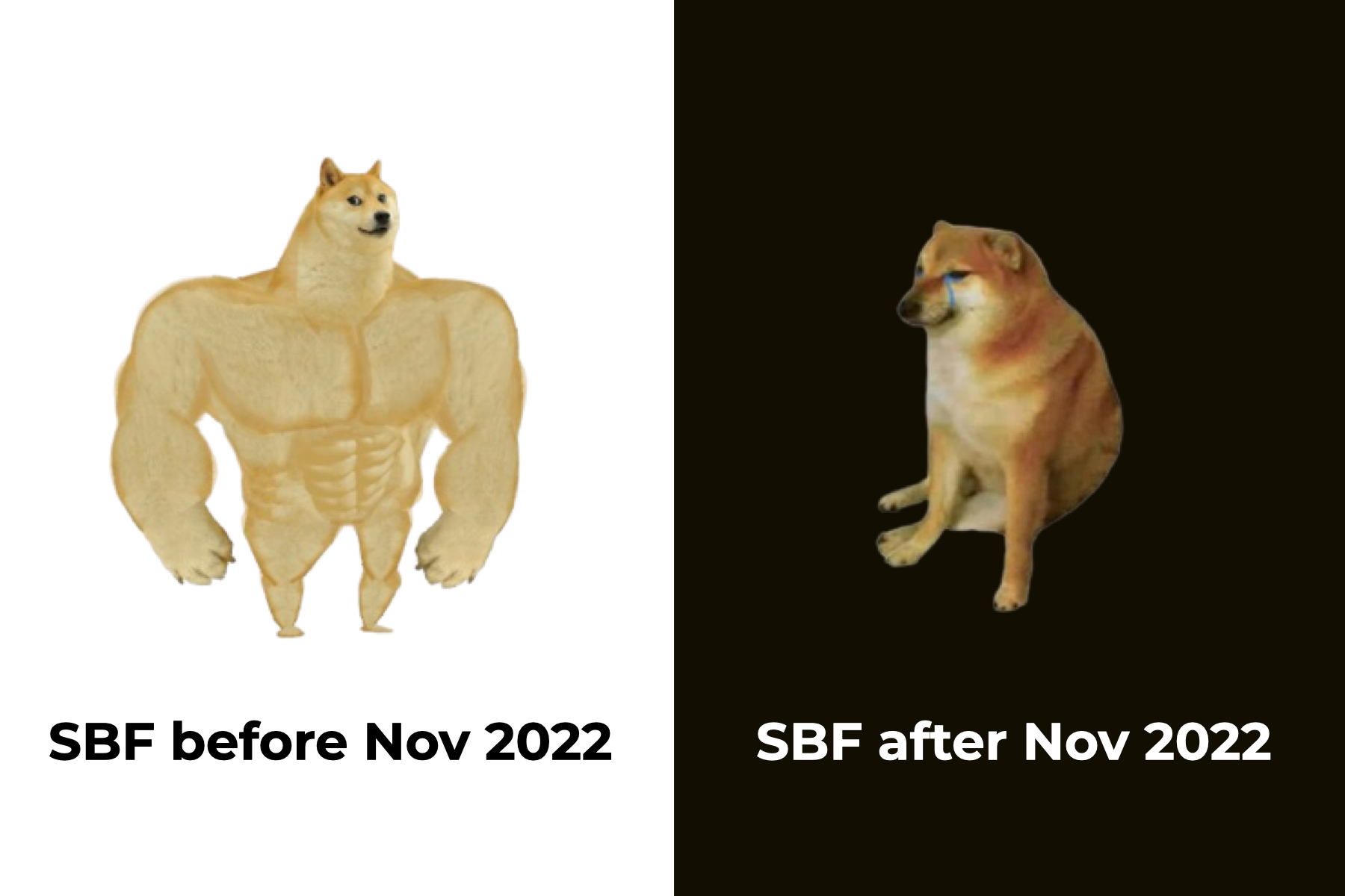 Who is SBF - from mansions and yachts to silver bracelets and iron bars ...