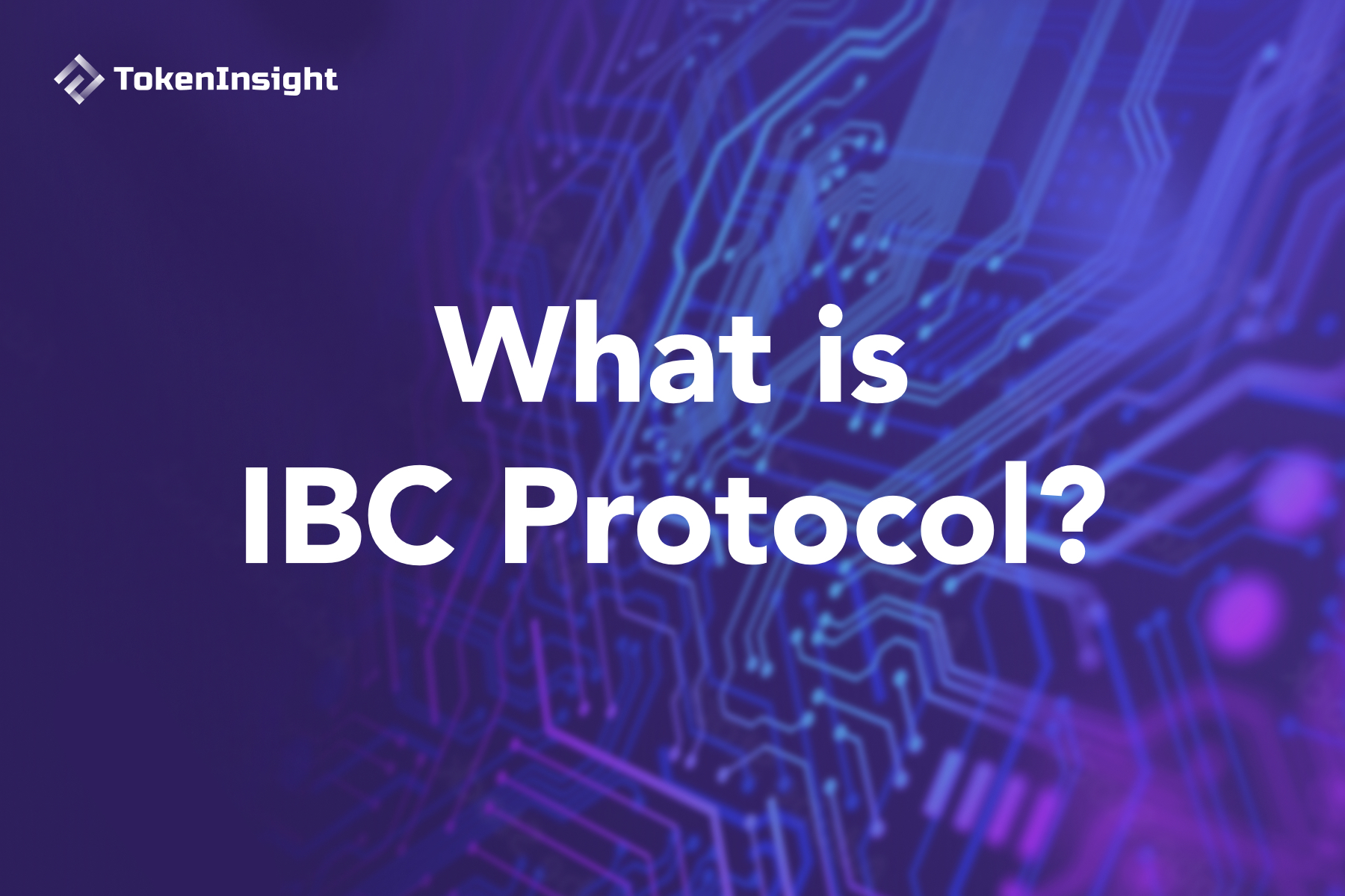 IBC 프로토콜과 TokenInsight에 대해 설명해주세요.