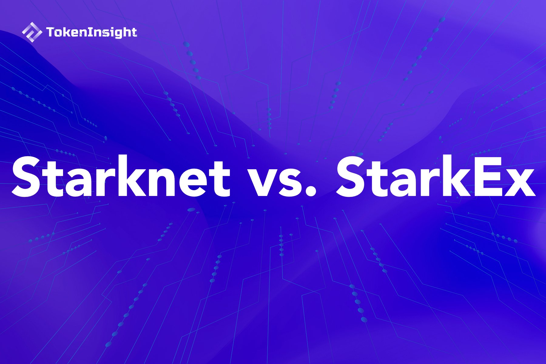What is the Relationship between StarkNet and StarkEx | TokenInsight