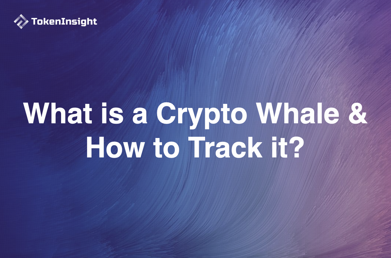 What is a Crypto Whale & How to Track it? | TokenInsight