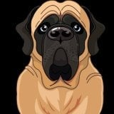 Mastiff Inu MINU Live Price, Charts, Ratings & News - TokenInsight