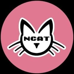 NCAT Token NCAT Live Price, Charts, Ratings & News - TokenInsight