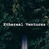 Track Ethereal Ventures Investments Portfolio | TokenInsight