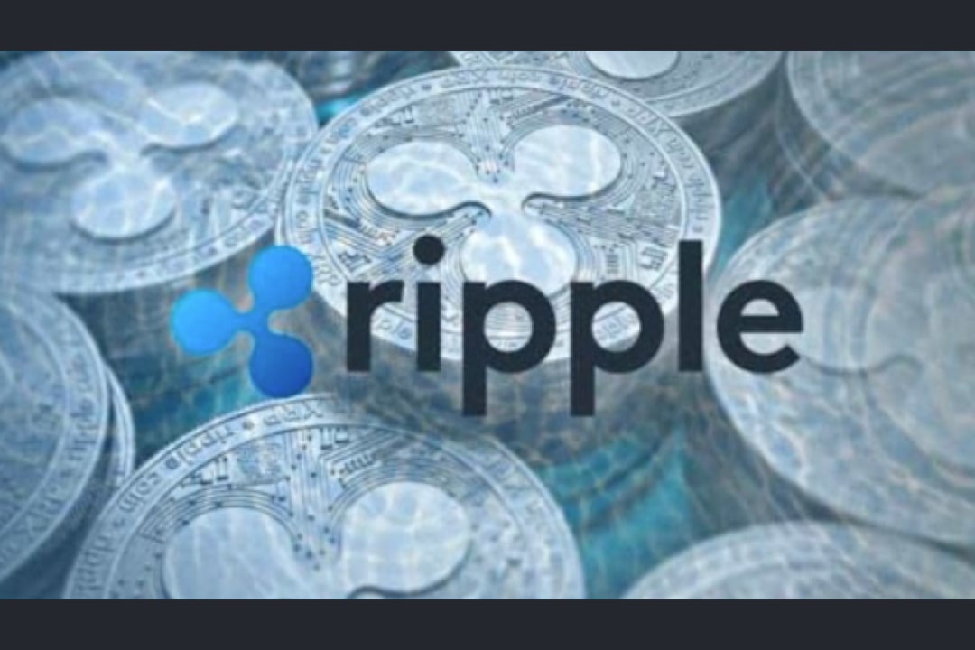Ripple co-founder donates $1 million in XRP to Harris campaign ...
