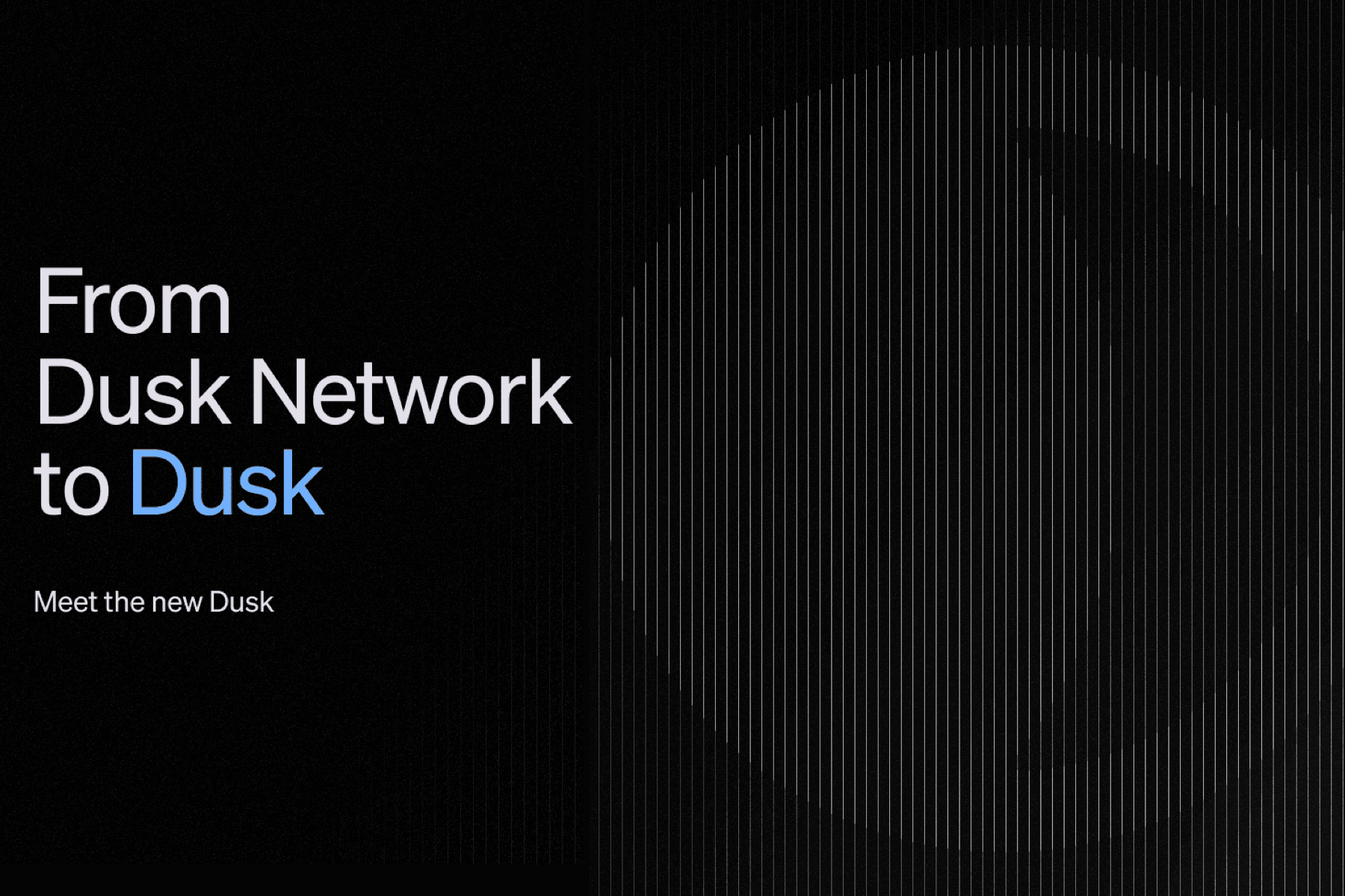 Privacy Blockchain Dusk Network Rebrands Itself as Dusk | TokenInsight