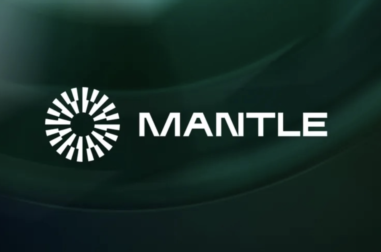 Mantle Network Proposes Allocating $238 Million to Promote Ecosystem ...