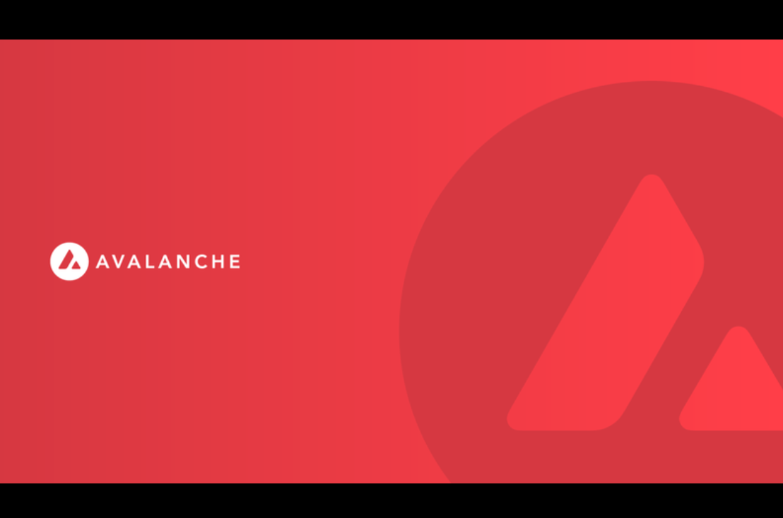 Avalanche Unveiled Criteria for its $100M Meme Coin Fund | TokenInsight