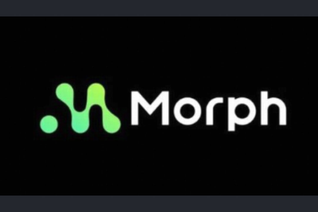 Morph CEO Cecilia Hsueh 경영진에서 물러나 비낸스 이사가 대신할 예정 | TokenInsight