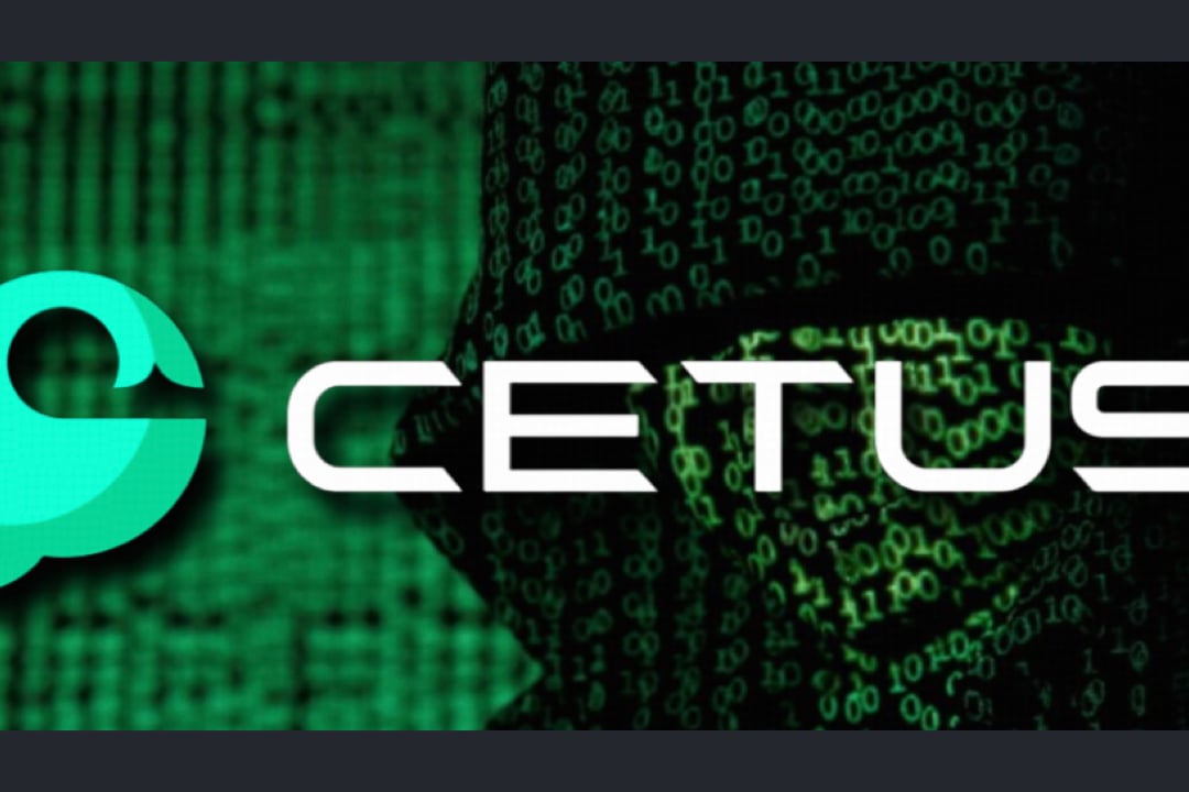 Sui DEX Cetus says overlooked flaw in open-source library used by smart contract led to $223 ...